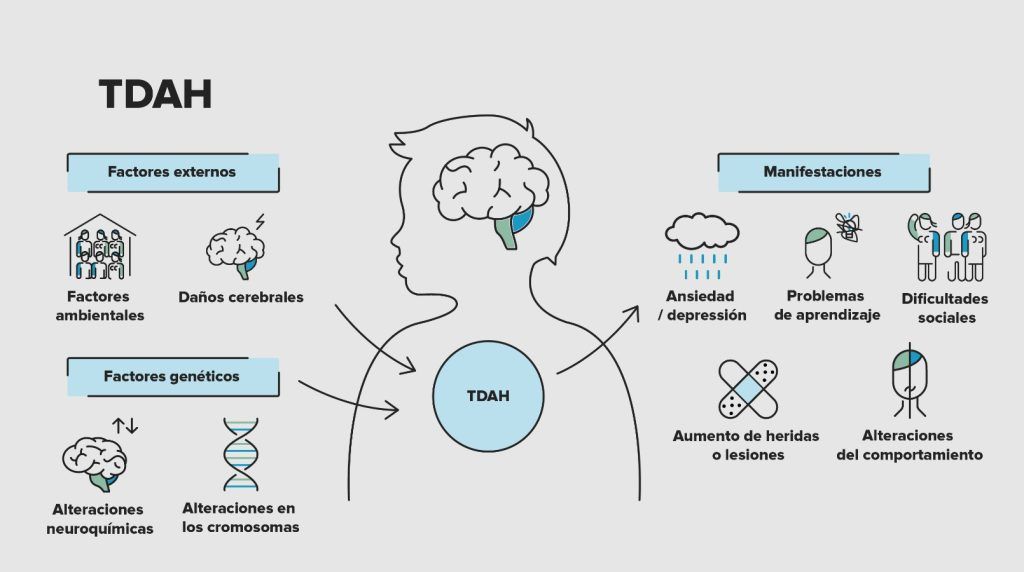 TDA vs. TDAH: Diferencias Clave en Adultos y Niños