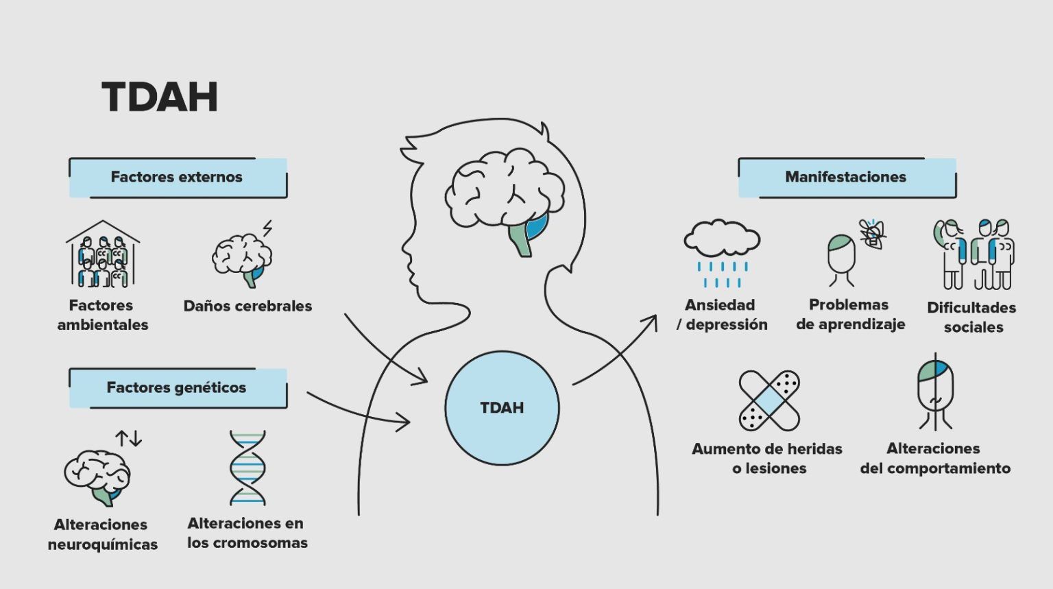 TDA vs. TDAH: Diferencias Clave en Adultos y Niños