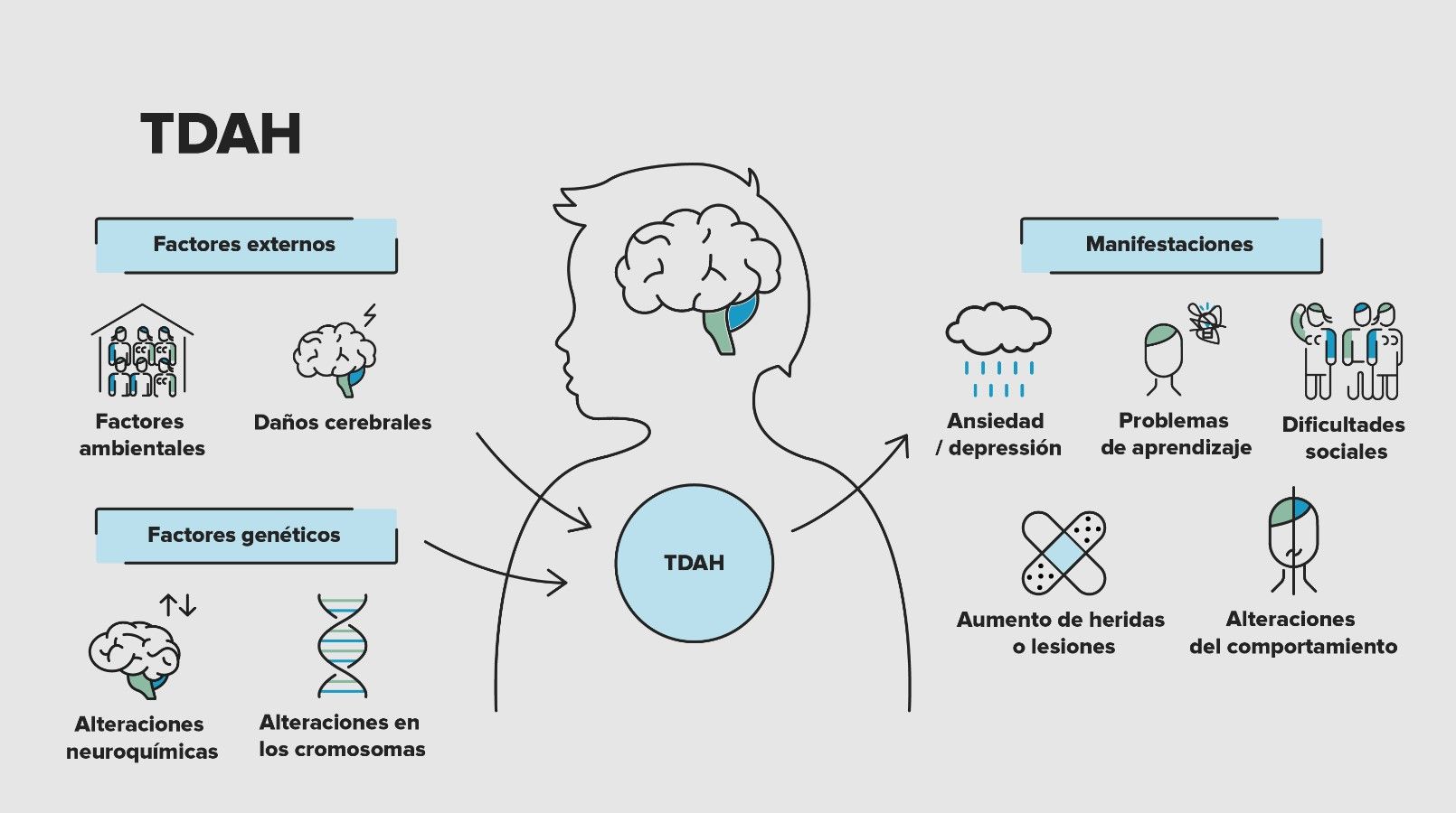 TDA vs. TDAH: Diferencias Clave en Adultos y Niños